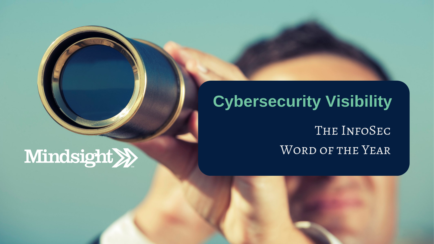 Cybersecurity Visibility: The InfoSec Word Of The Year | Mindsight