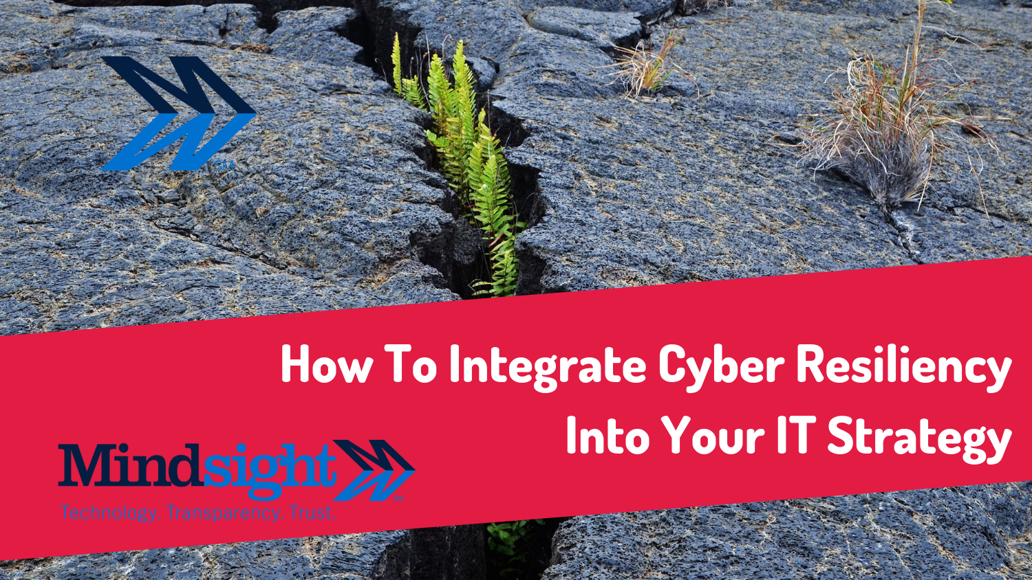 How To Integrate Cyber Resiliency Into Your IT Strategy | Mindsight
