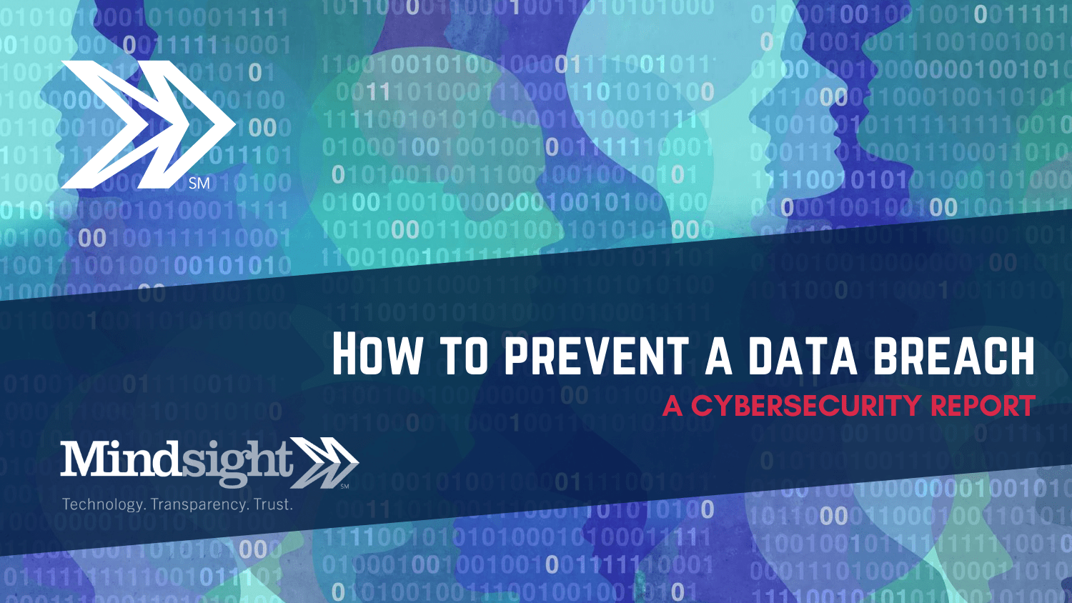 How To Prevent A Data Breach: A Cybersecurity Report | Mindsight