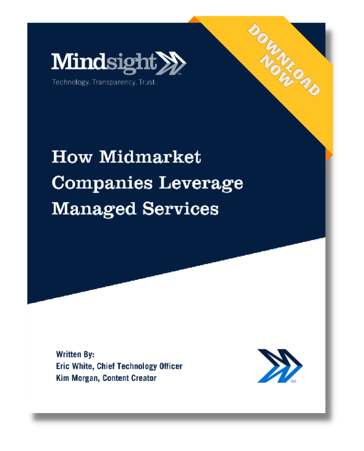 Managed It Services Mindsight Chicago